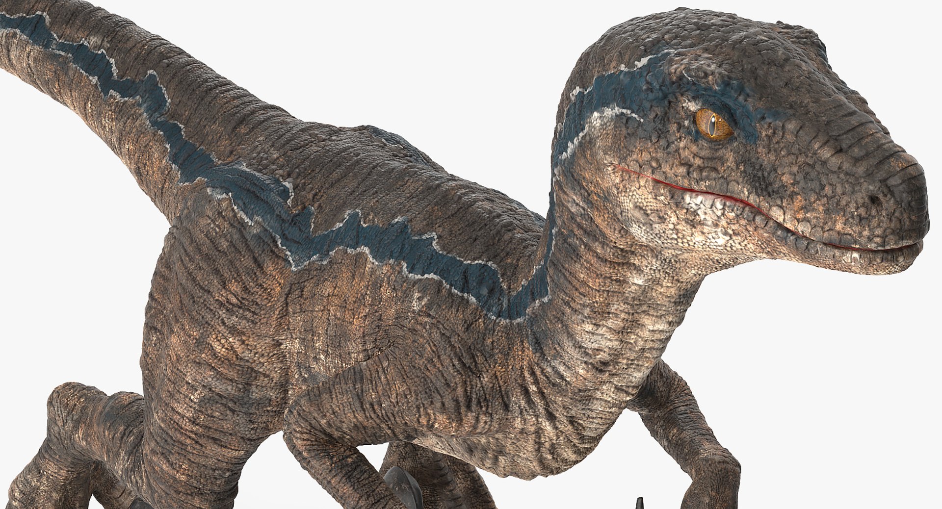 3D velociraptor walking pose - TurboSquid 1395369