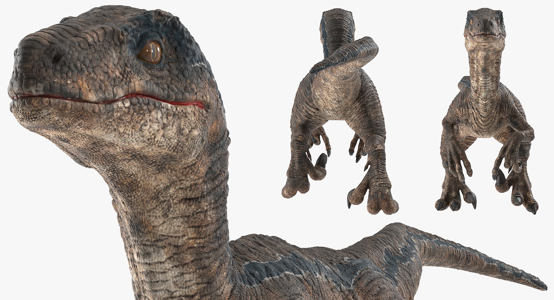 3D velociraptor walking pose - TurboSquid 1395369