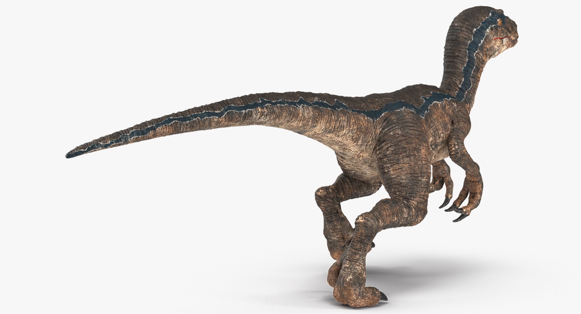 3D Velociraptor Walking Pose - TurboSquid 1395369