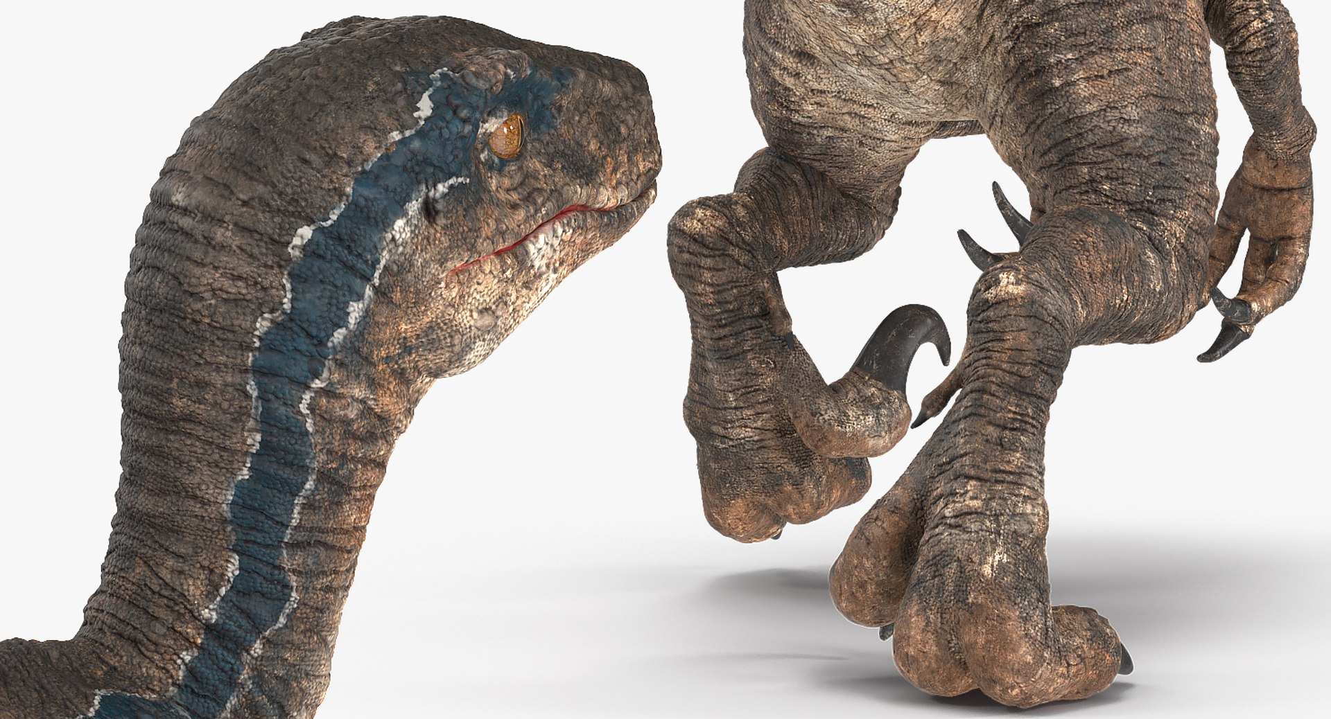 3D velociraptor walking pose - TurboSquid 1395369