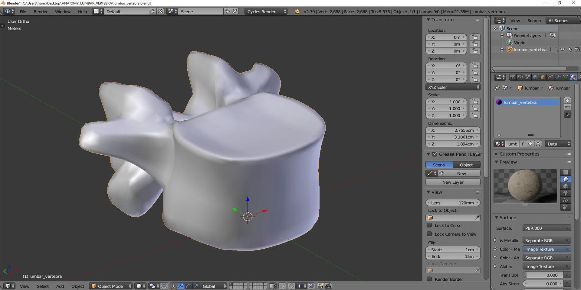 Human Lumbar Vertebra 3D Model - TurboSquid 1170151