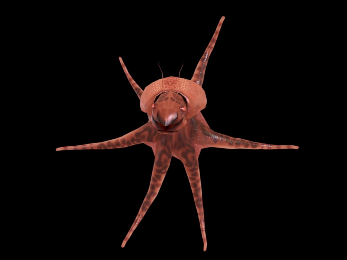 Octopus Monster 3D Model - TurboSquid 1463655