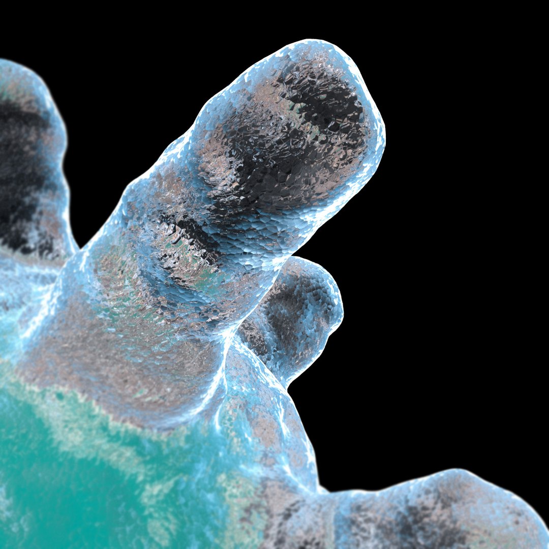 3D Model Microbes Bacteria Cells - TurboSquid 1626092