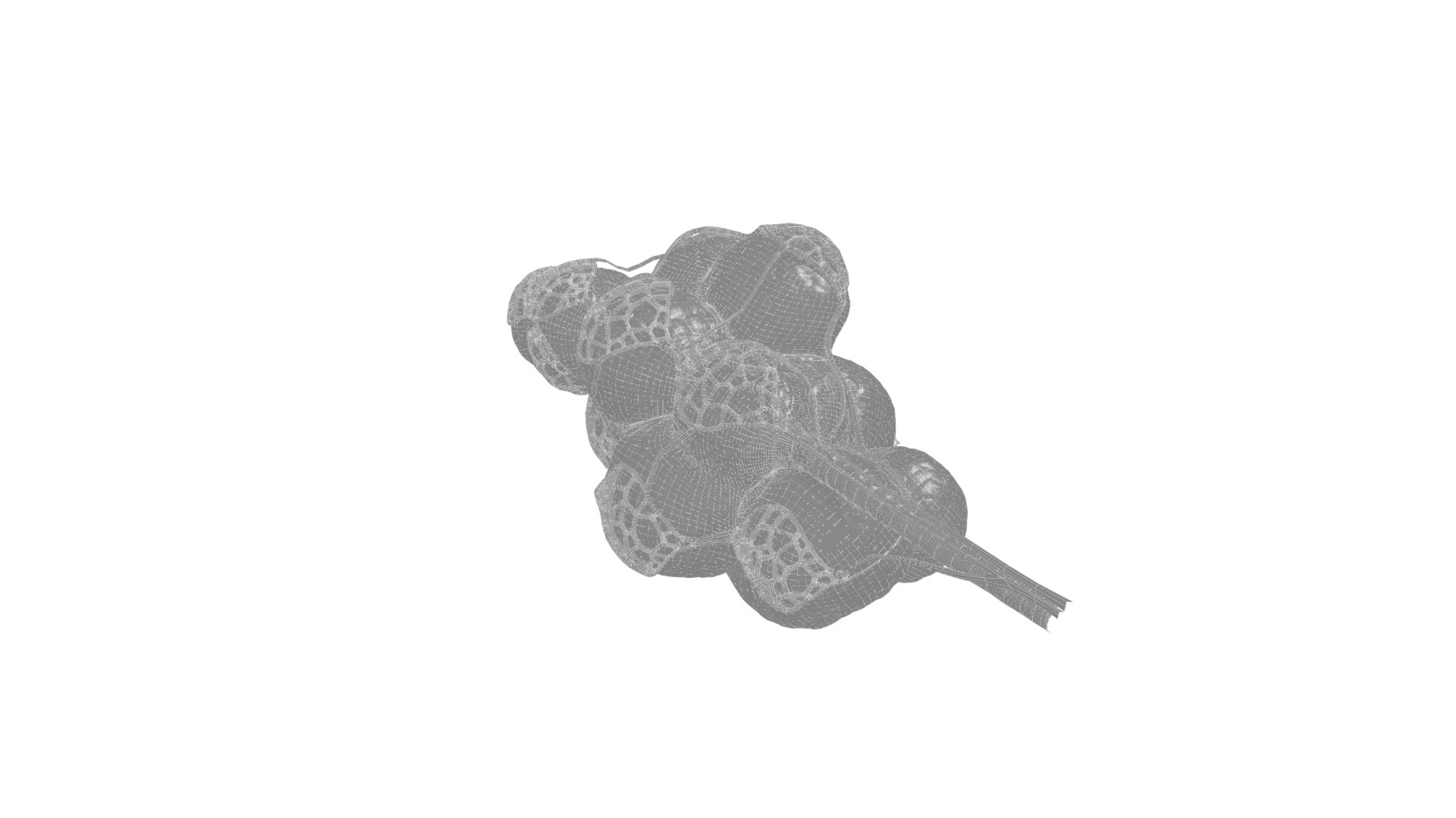 Pulmonary Alveoli 3d Model