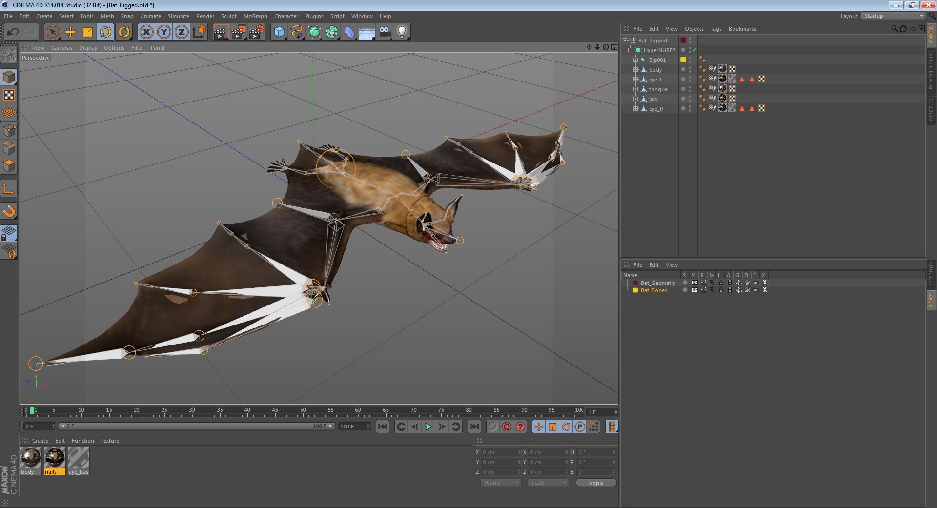 bat rigged 3d c4d