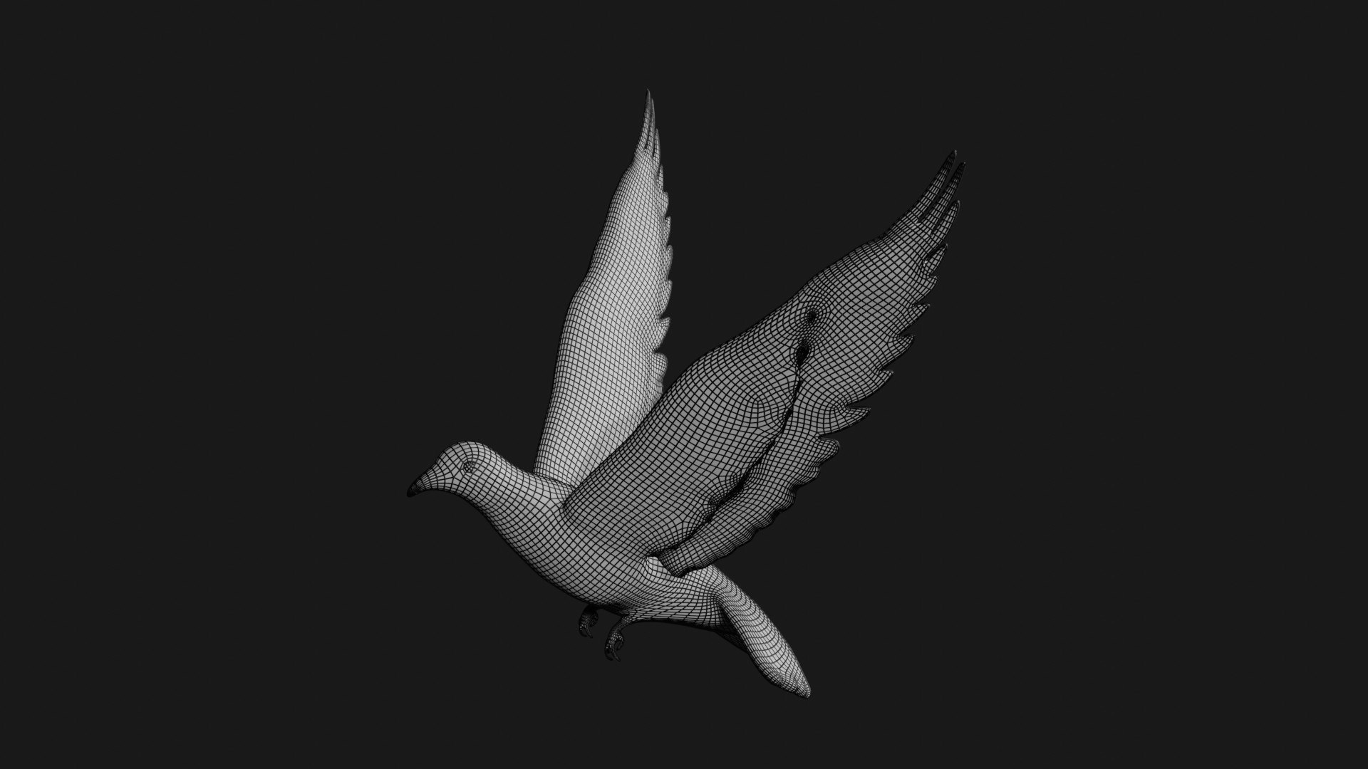 Fully Rigged Standing and Flying Pigeon 3D model - TurboSquid 1760193
