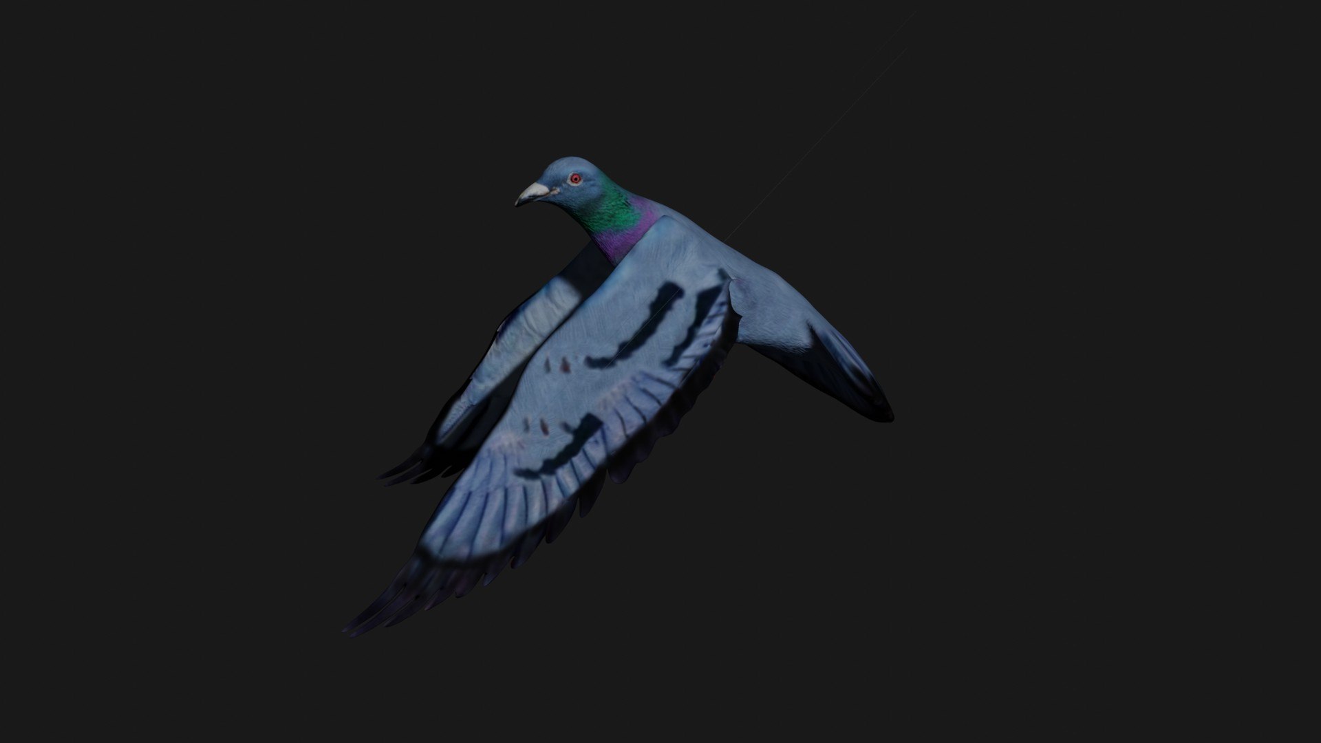 Fully Rigged Standing and Flying Pigeon 3D model - TurboSquid 1760193