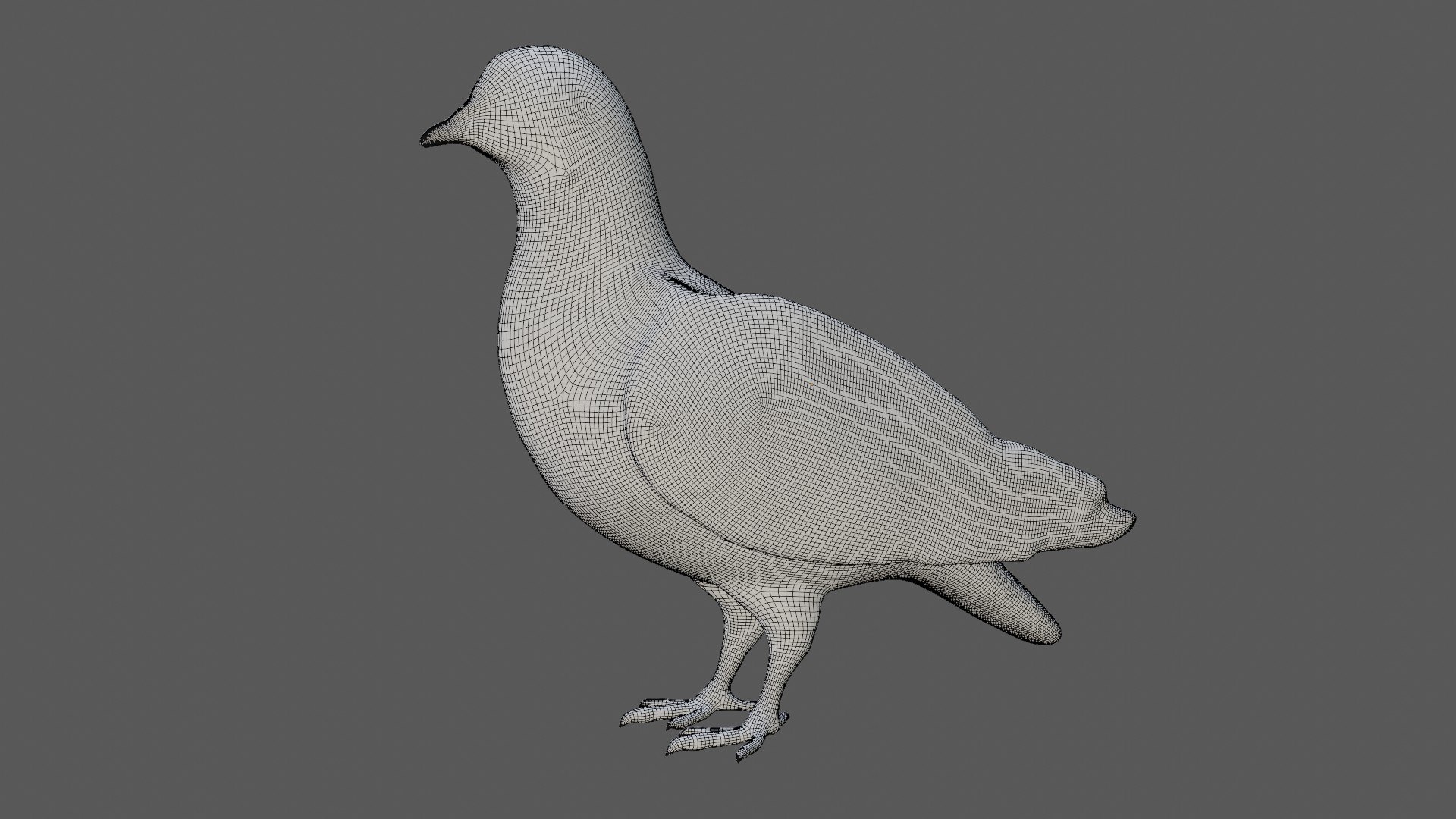 Fully Rigged Standing and Flying Pigeon 3D model - TurboSquid 1760193