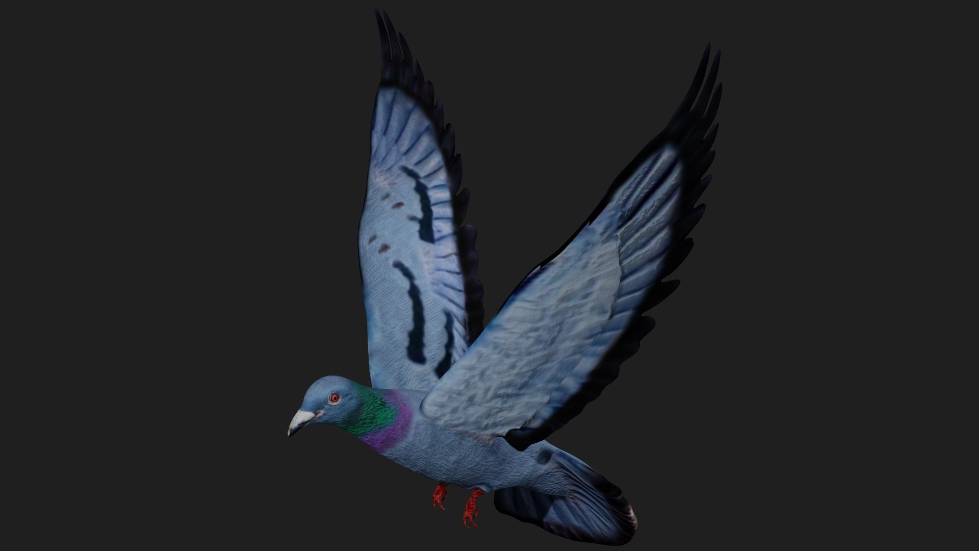 Fully Rigged Standing and Flying Pigeon 3D model - TurboSquid 1760193