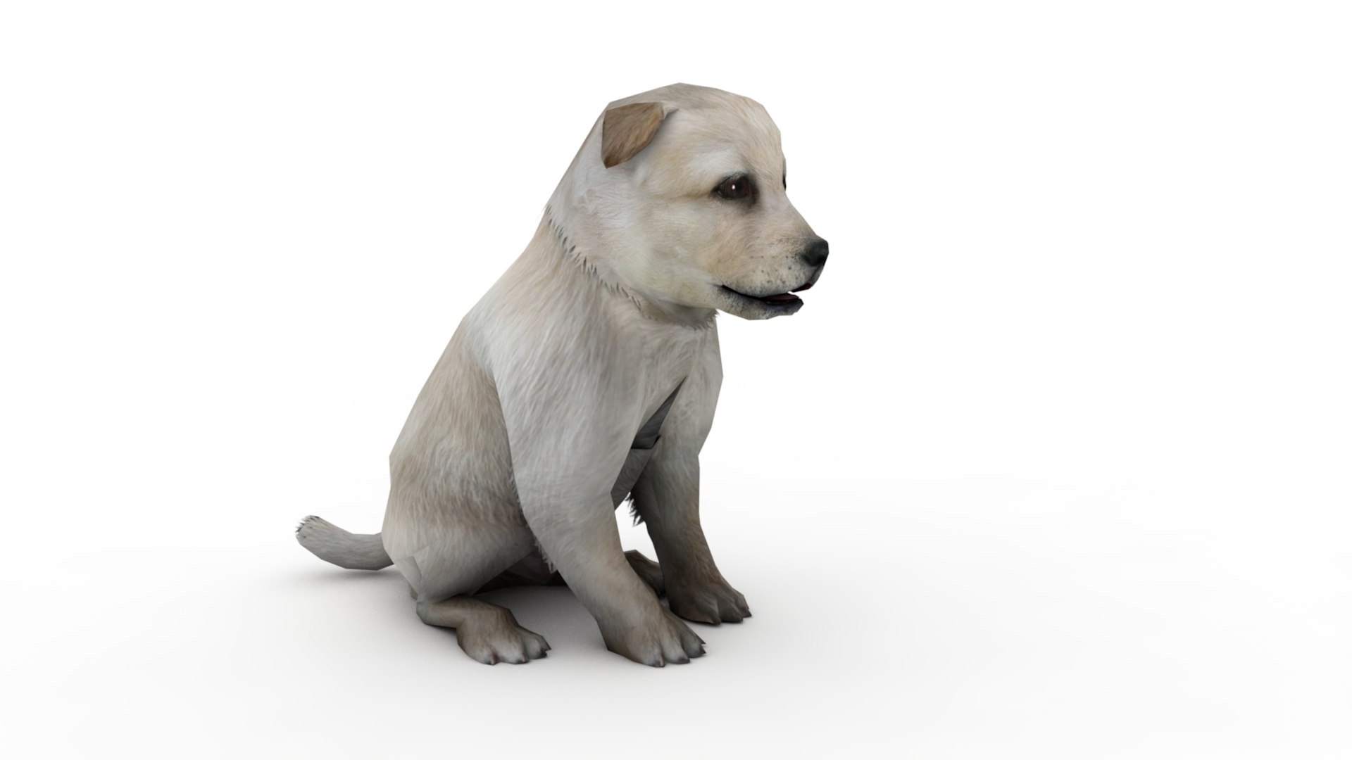 3D Puppy Model - TurboSquid 2236129
