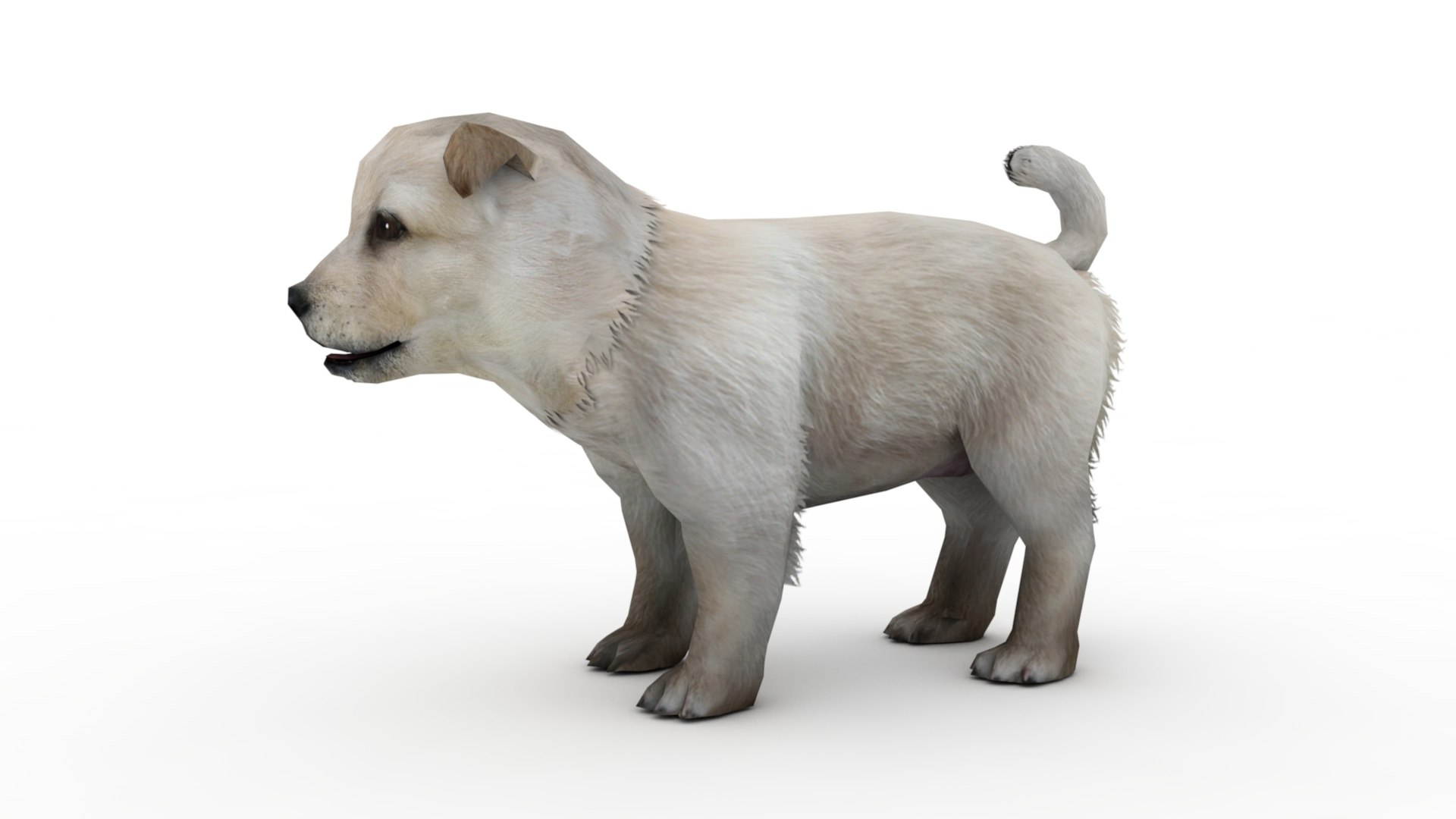 3D Puppy Model - TurboSquid 2236129