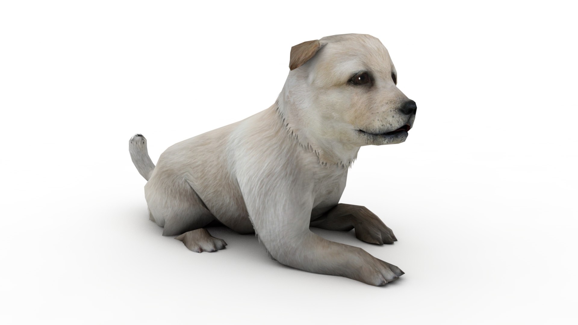 3D Puppy Model - TurboSquid 2236129