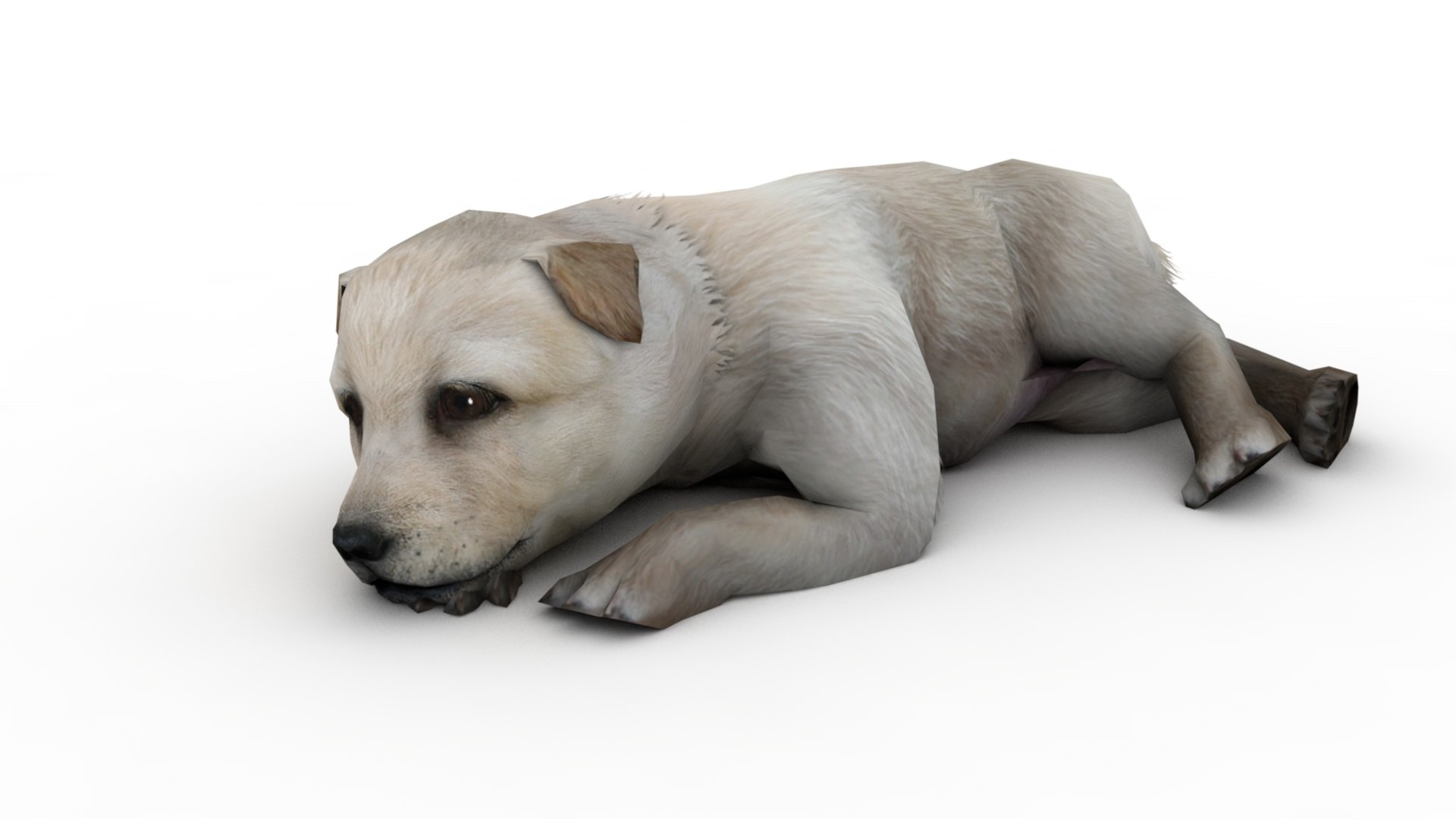 3D Puppy Model - TurboSquid 2236129