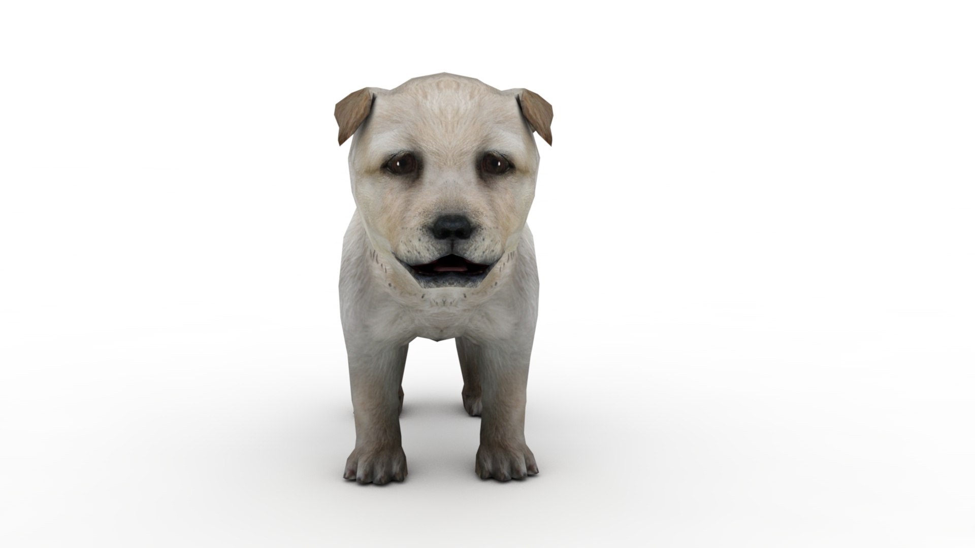 3D Puppy Model - TurboSquid 2236129