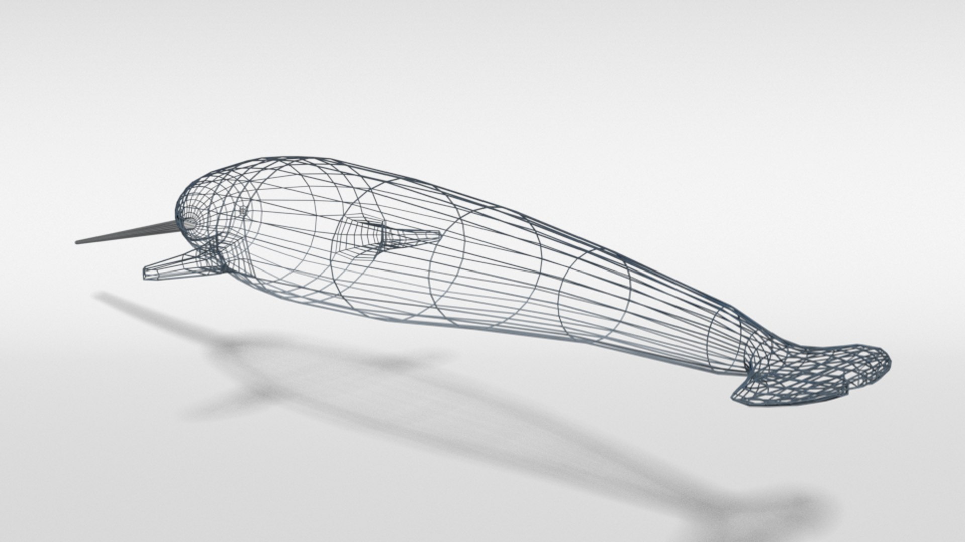 3D Narwhal Quads Ready Model - TurboSquid 1521514