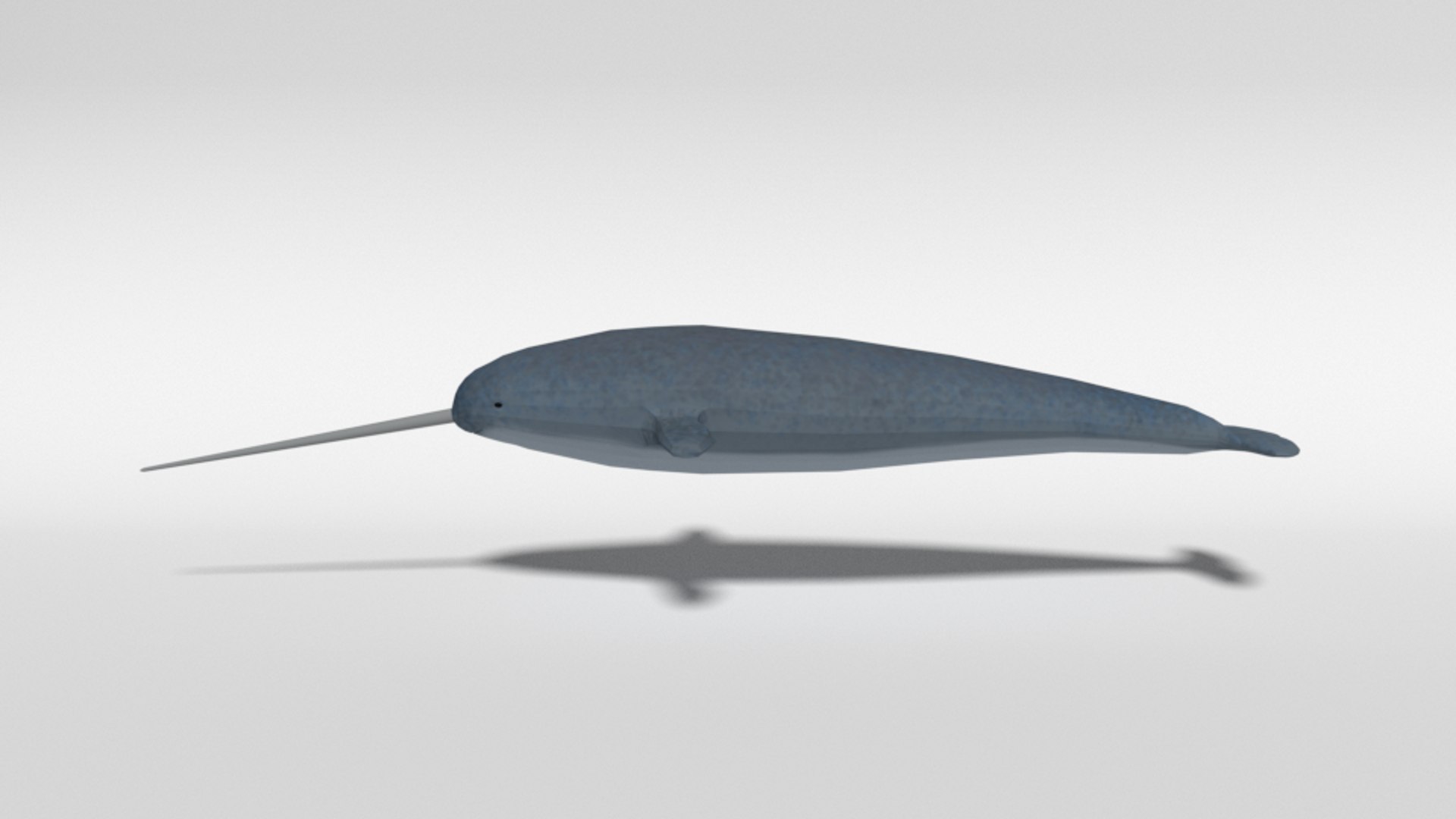 3D Narwhal Quads Ready Model - TurboSquid 1521514
