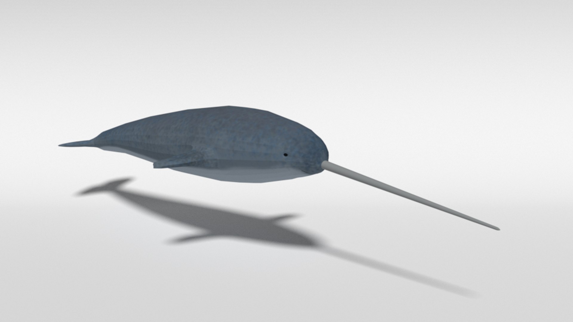 3D Narwhal Quads Ready Model - TurboSquid 1521514