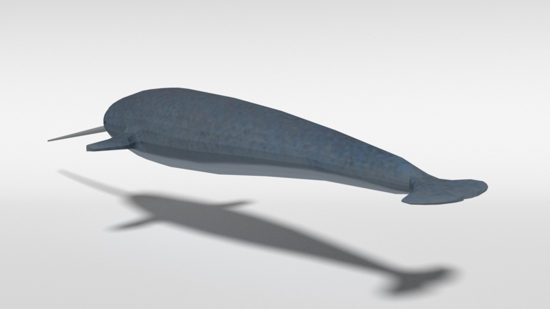 3D Narwhal Quads Ready Model - TurboSquid 1521514