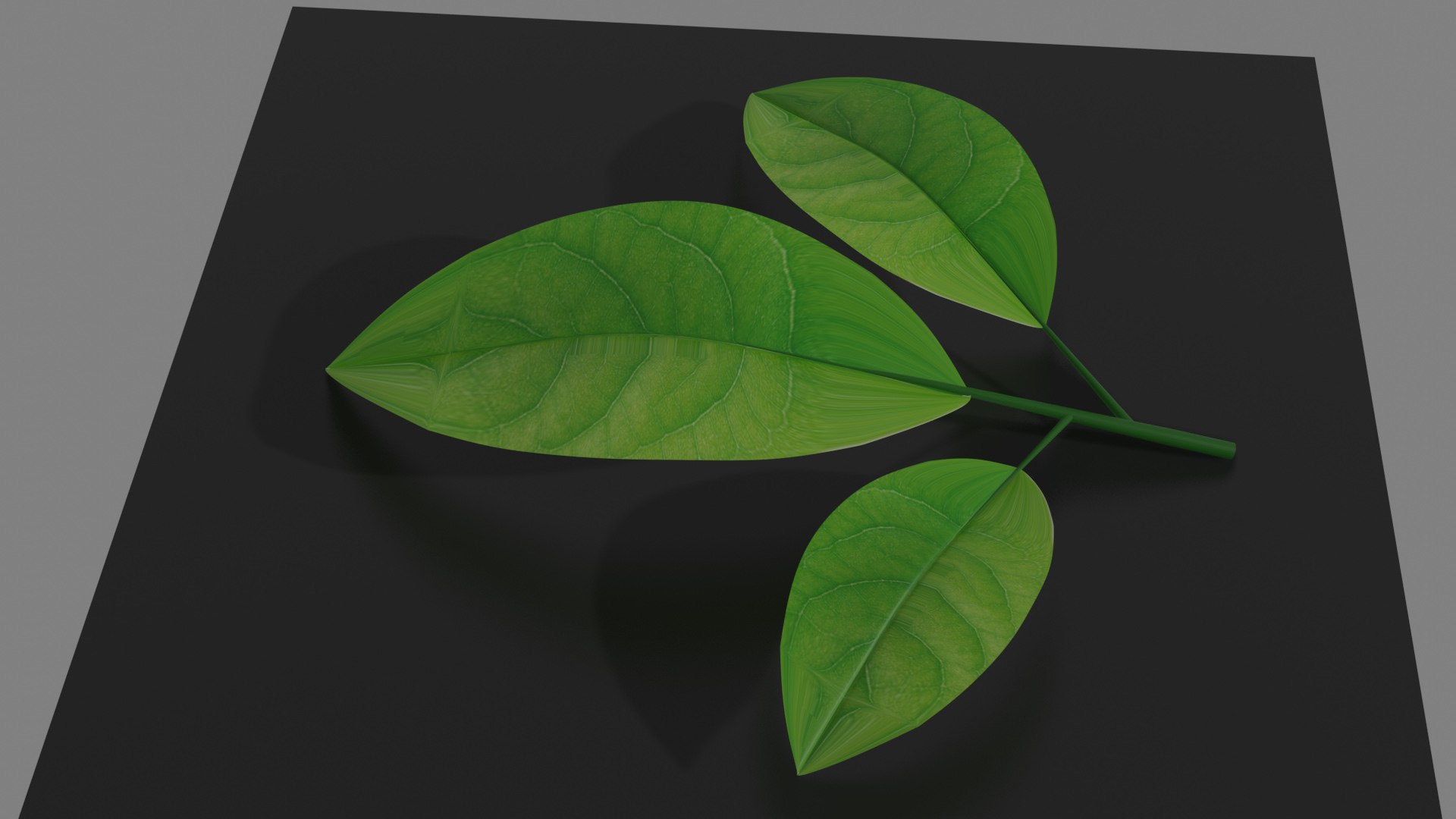 3D Tree Green Leaf Tree Leaves Model - TurboSquid 2248150