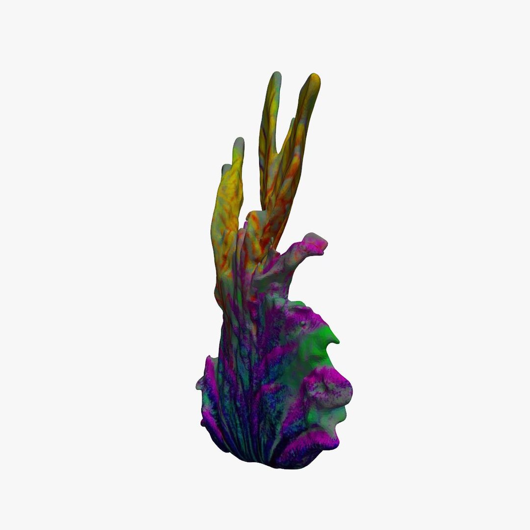 3D Coral Reef Model - TurboSquid 2221415