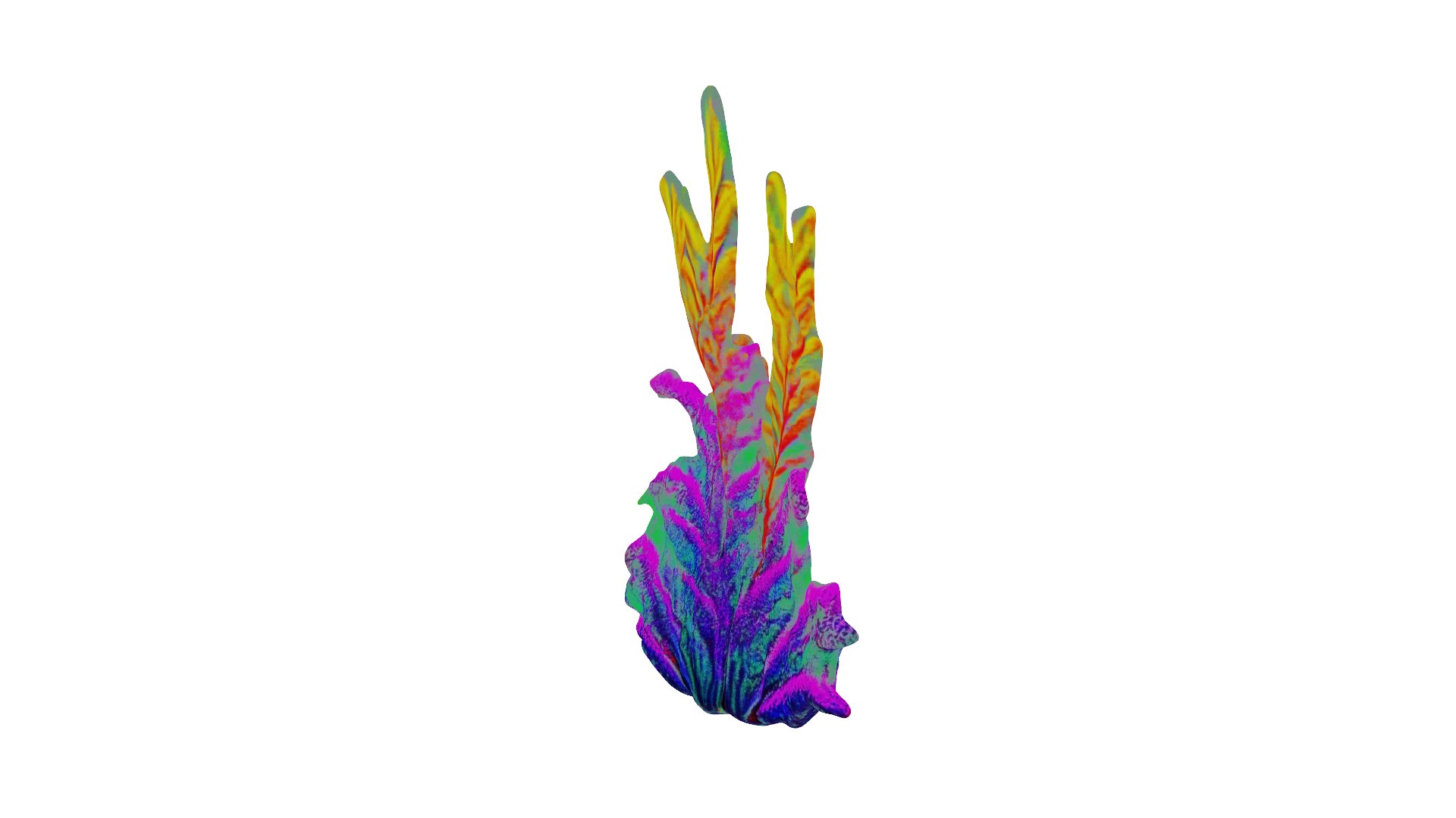 3D Coral Reef Model - TurboSquid 2221415