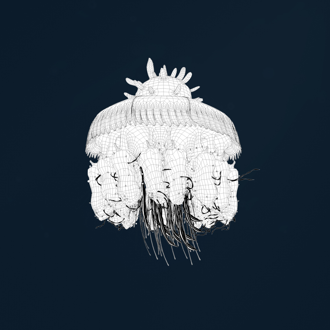 Jellyfish Crown Animated 3D Model - TurboSquid 1750817
