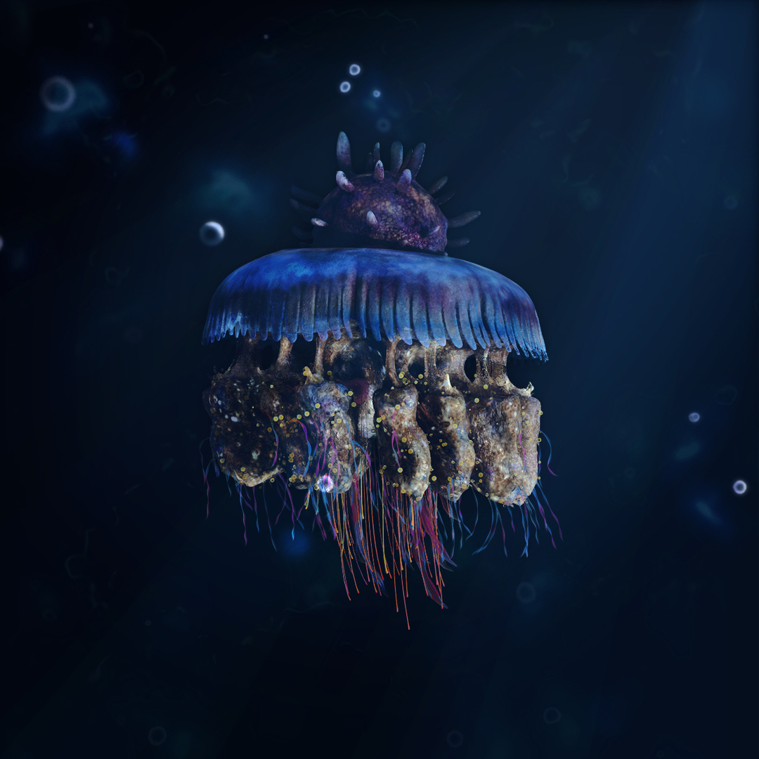Jellyfish Crown Animated 3D Model - TurboSquid 1750817