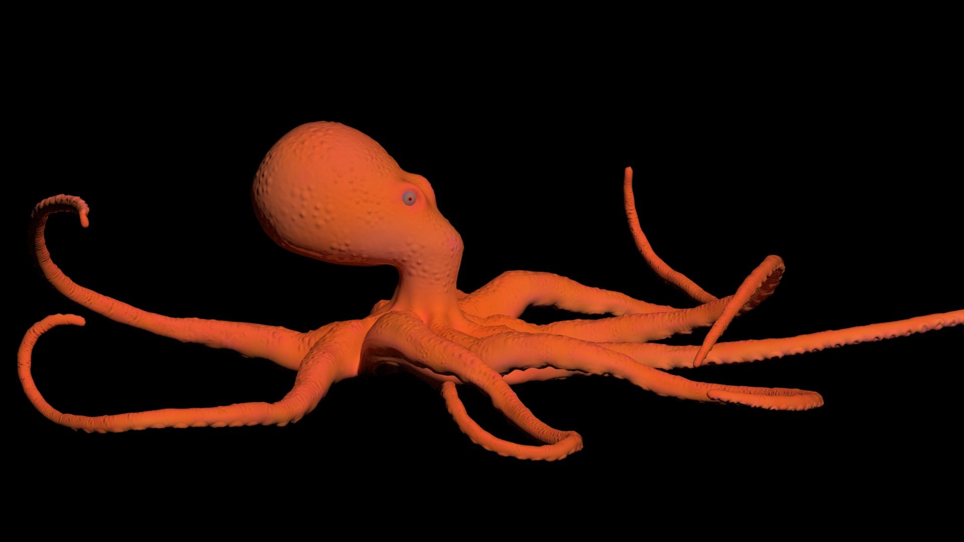 Octopus 3D - TurboSquid 1690020