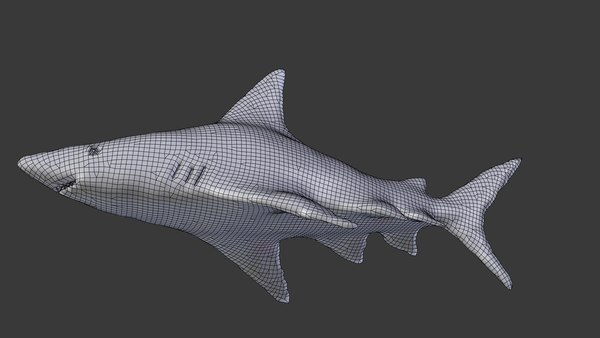 modelo 3d Modelo 3D de tiburón para acuario o uso para animación ...