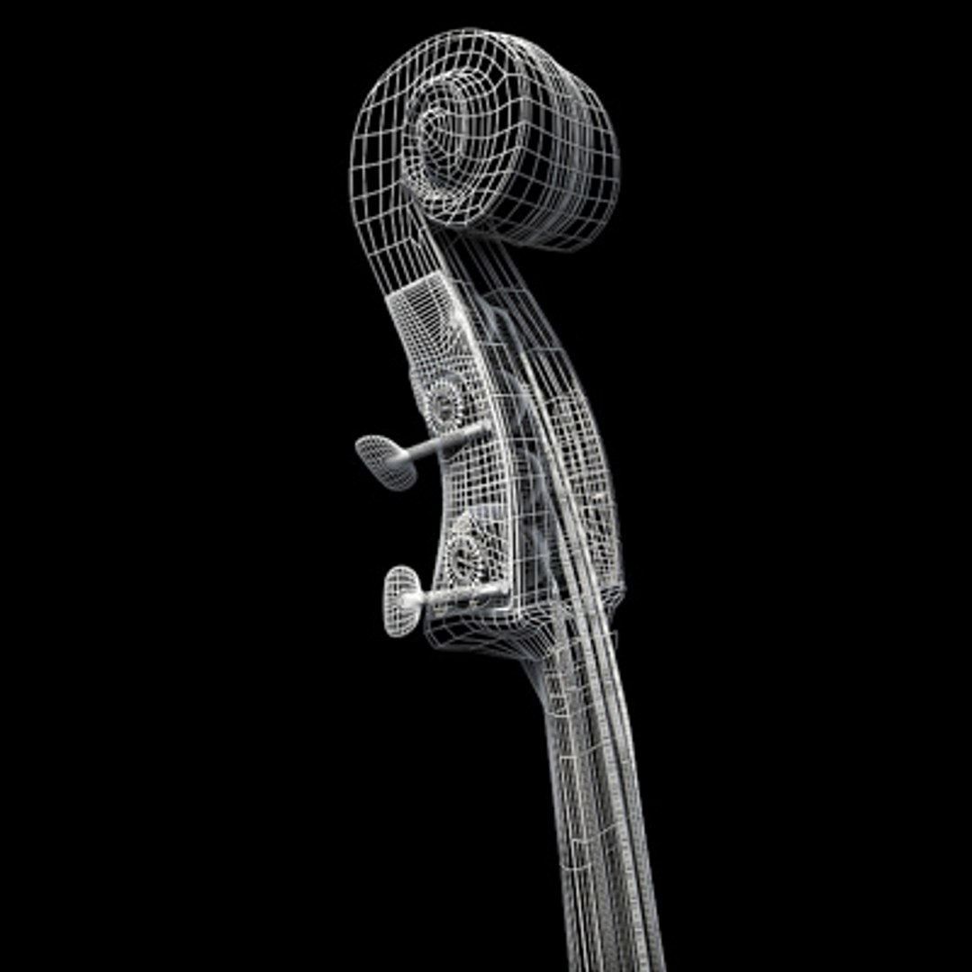 3d Double Bass