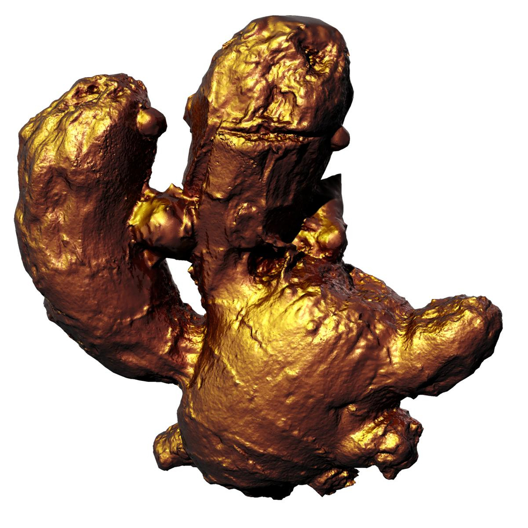 ginger root 3d model