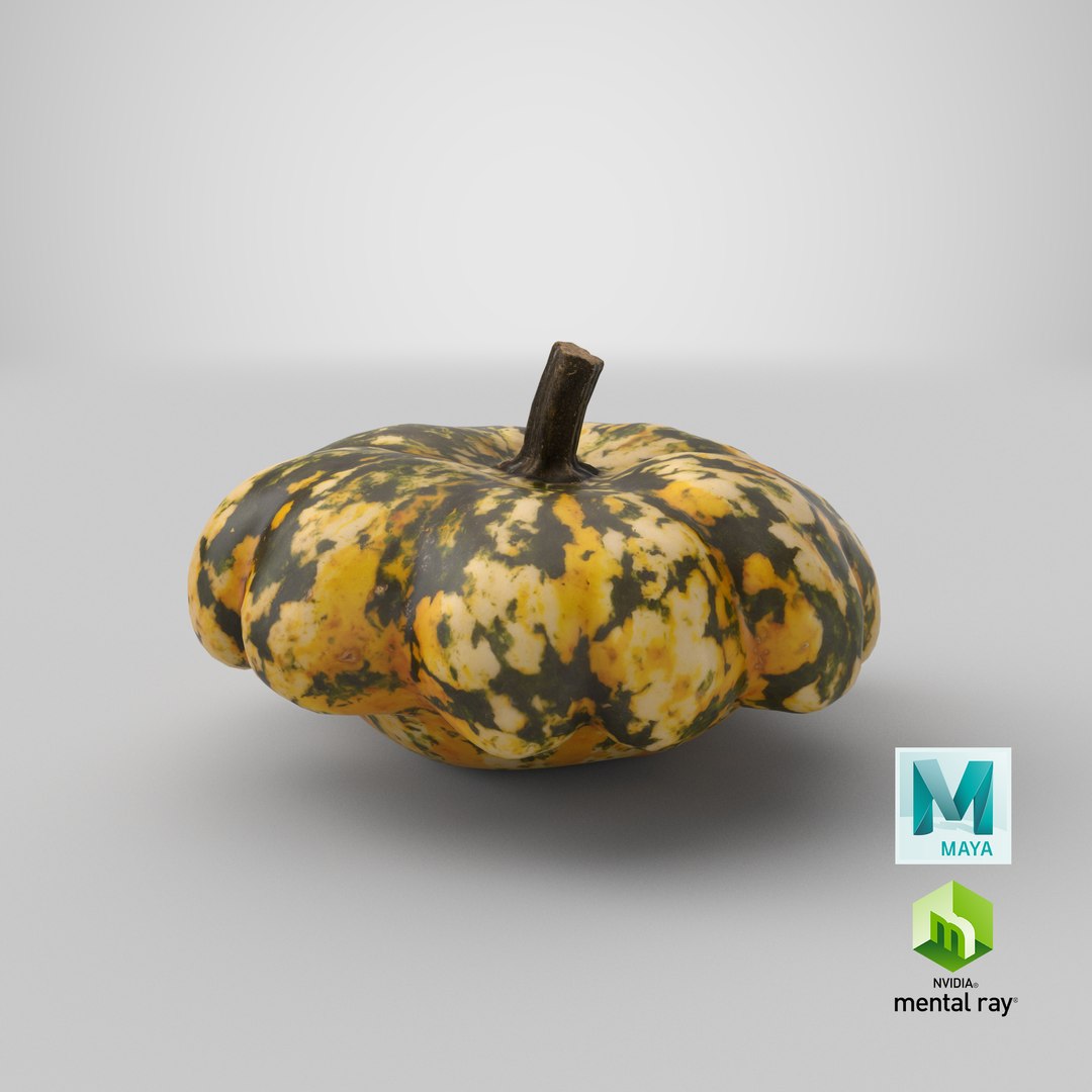 3D model Pumpkin - TurboSquid 1764636