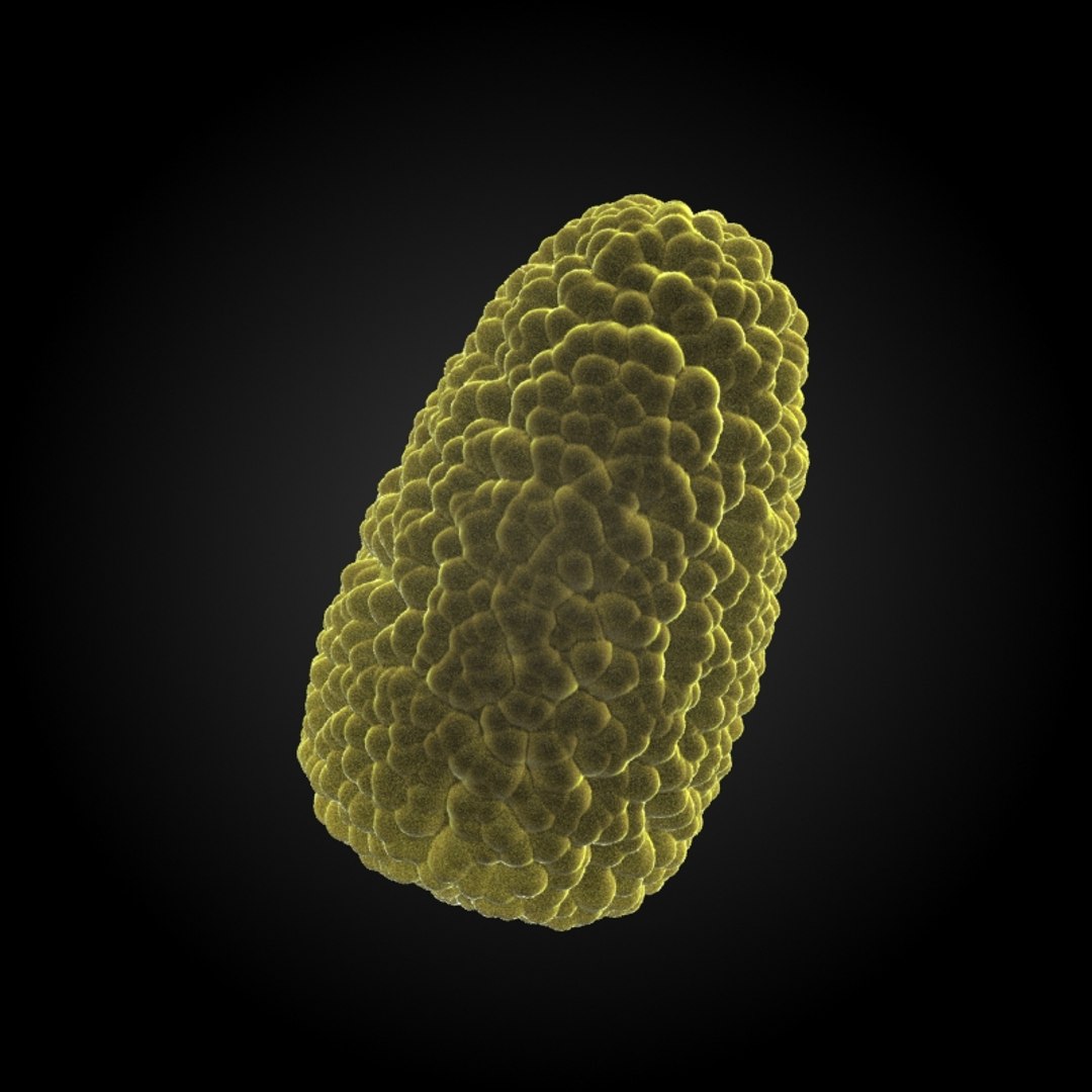 3ds max microbes micro organisms