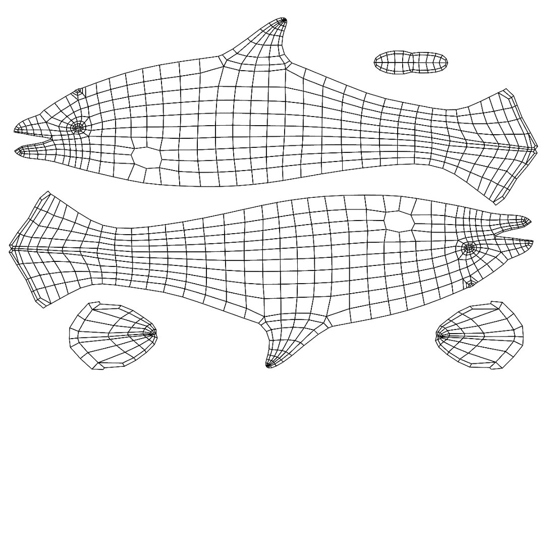 Base Mesh Dolphin 3d Model