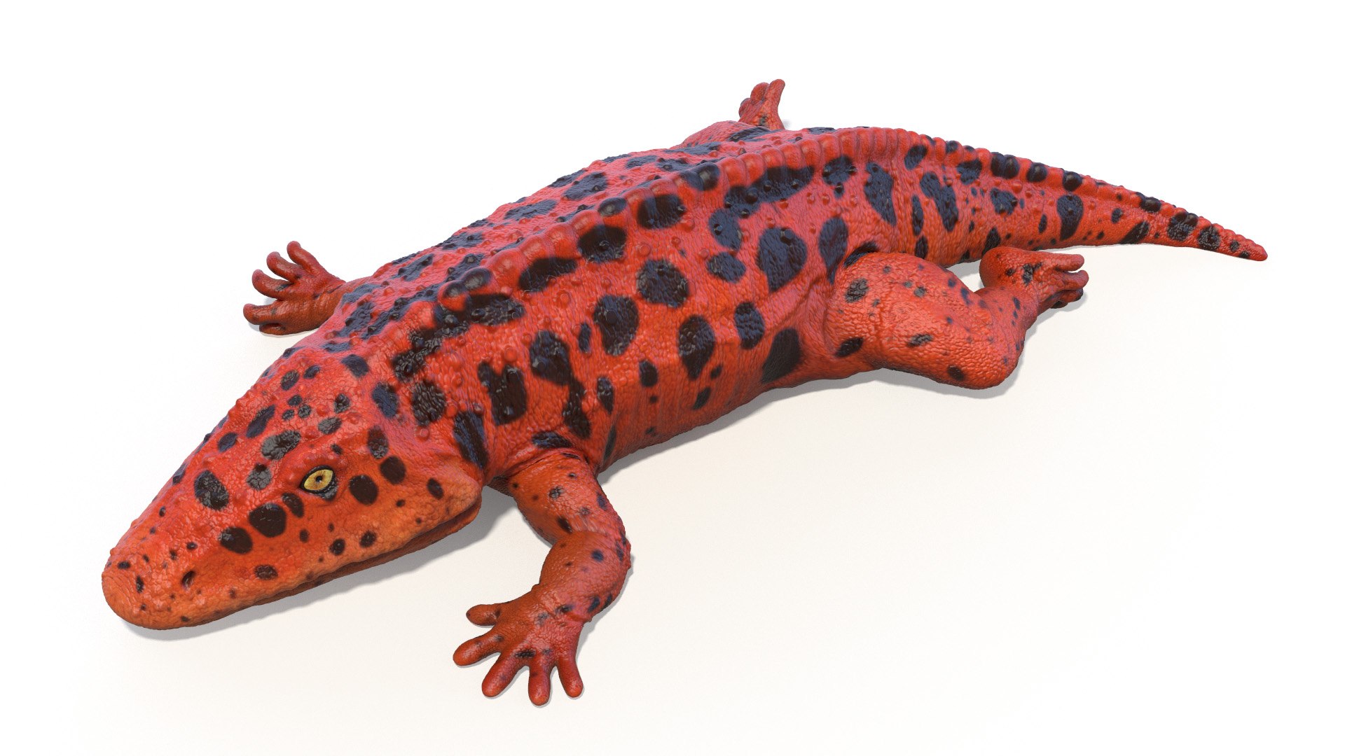 3D Eryops Animated - TurboSquid 1922638