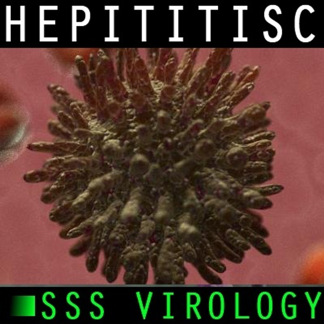 Hepatitis Virus C 3d Model