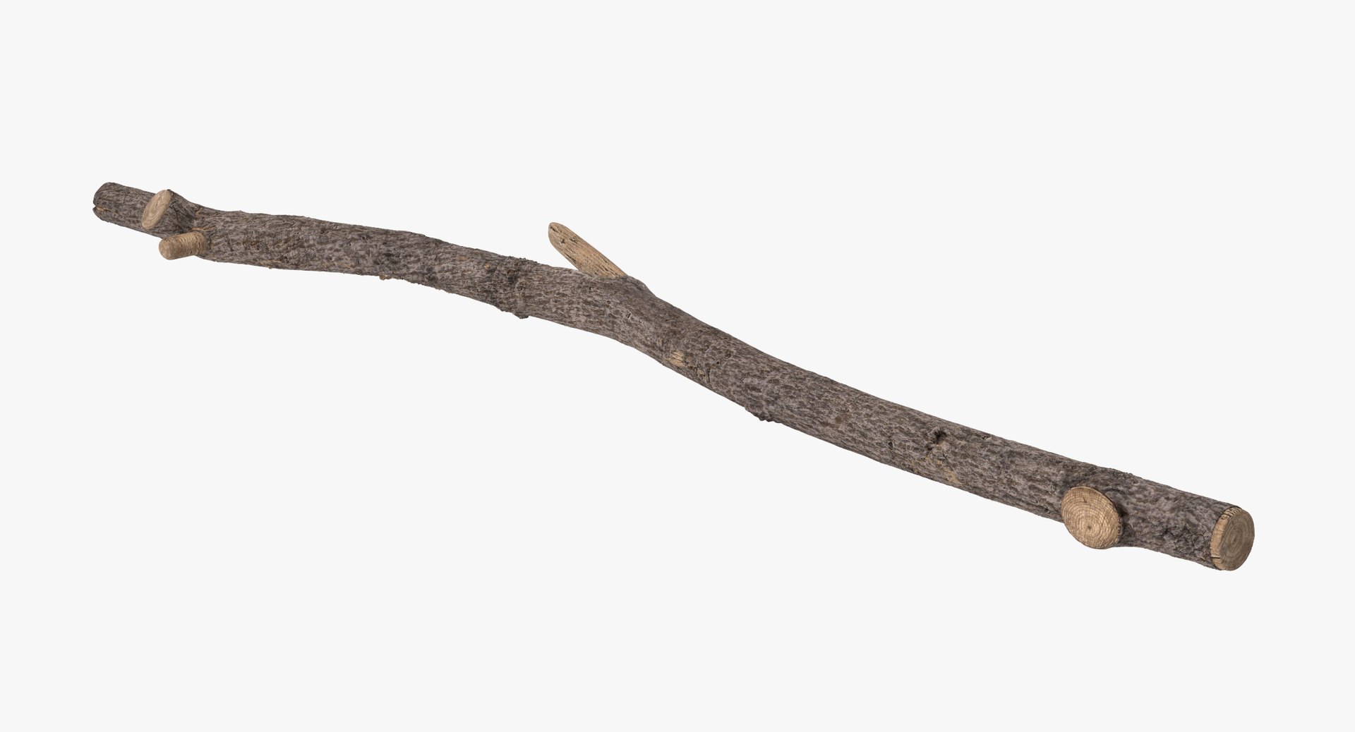 Twig 01 3d Model