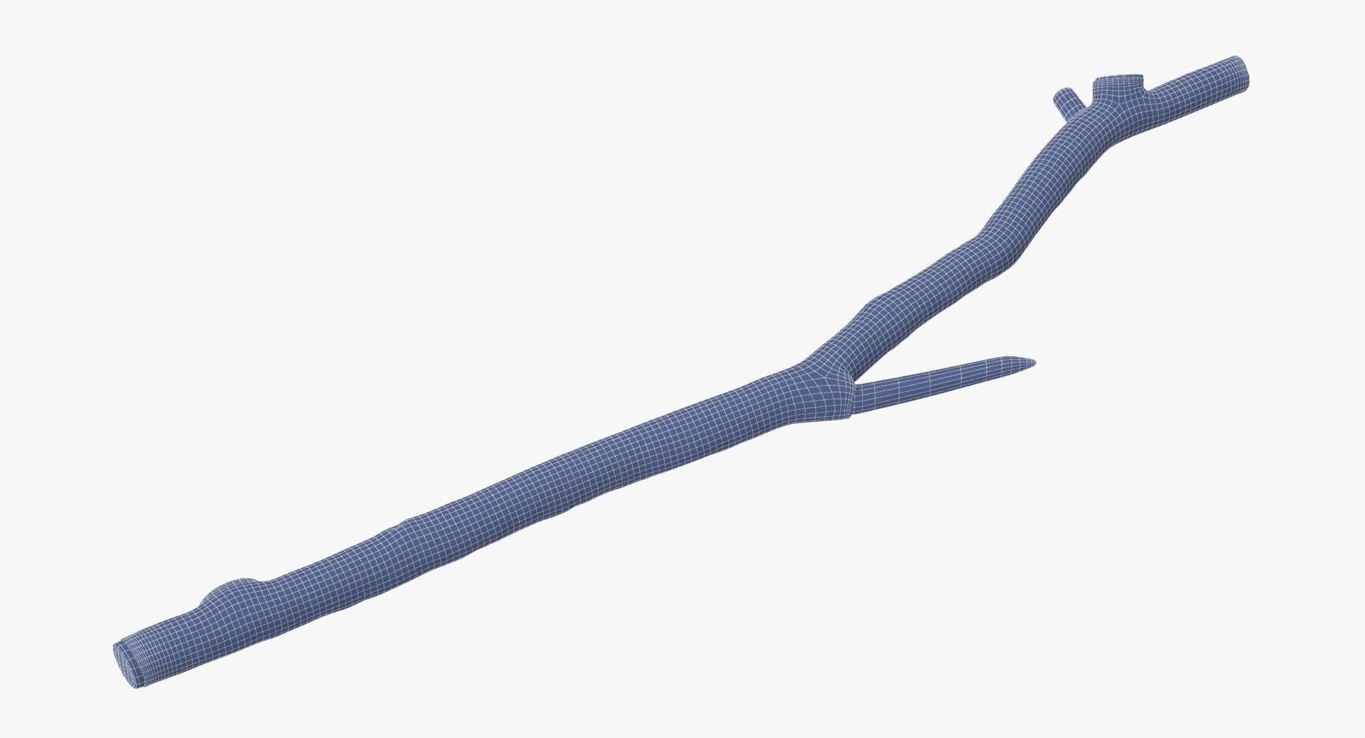 Twig 01 3d Model