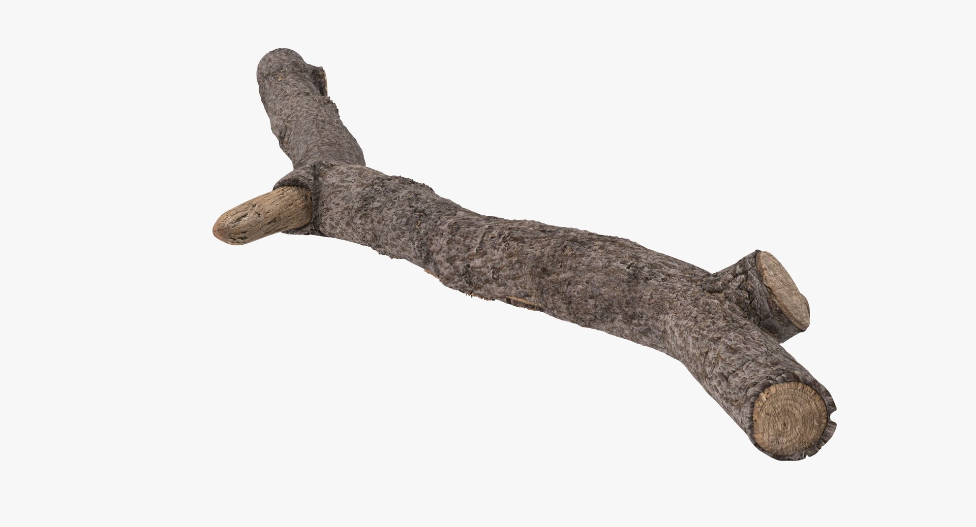 Twig 01 3d Model