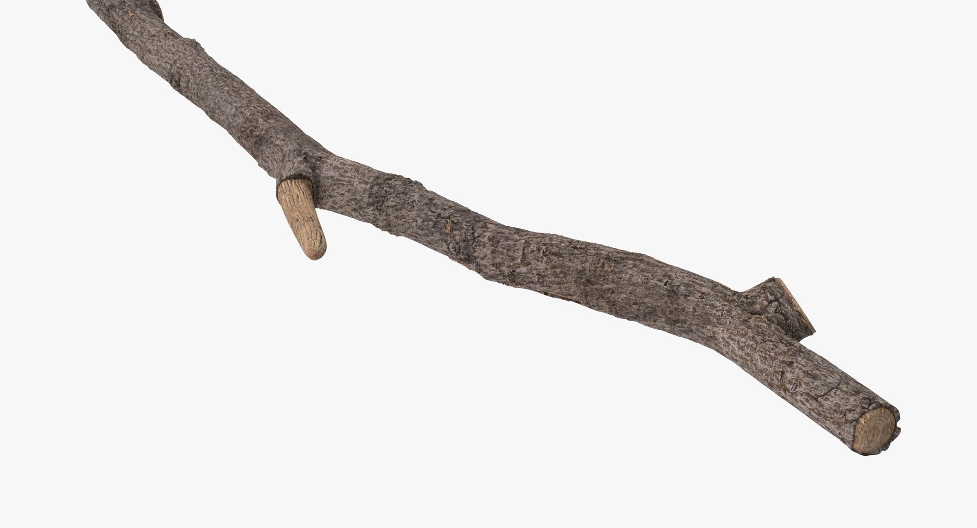 Twig 01 3d Model