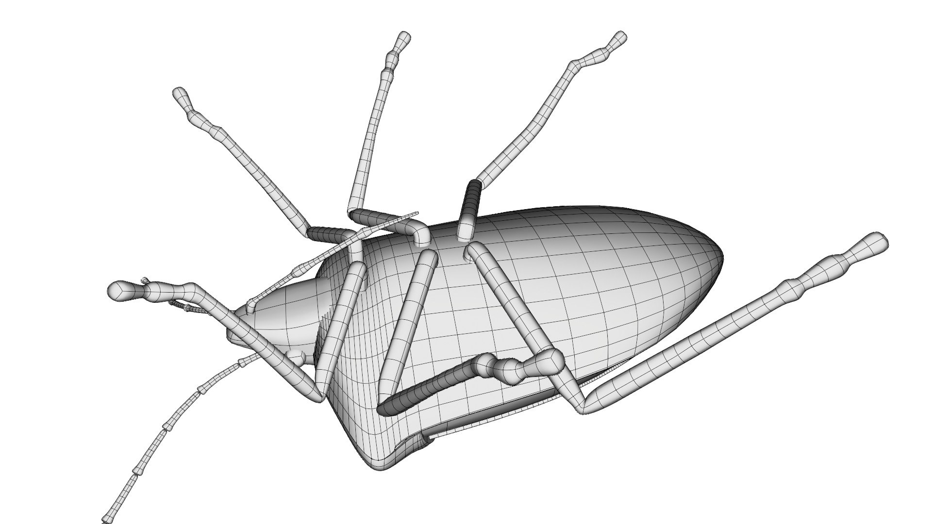 Stinkbug Stink Bug 3D Model - TurboSquid 1610225