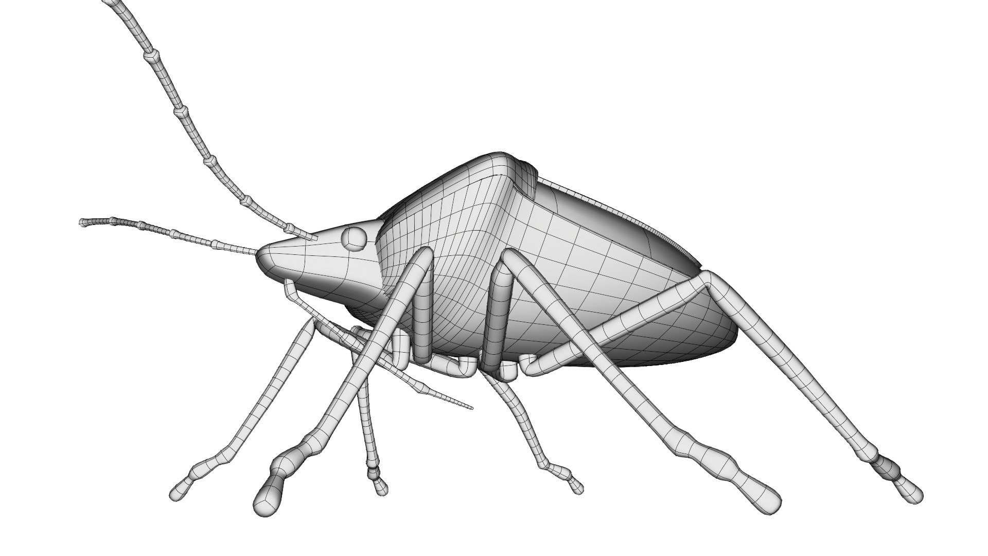 Stinkbug Stink Bug 3D Model - TurboSquid 1610225