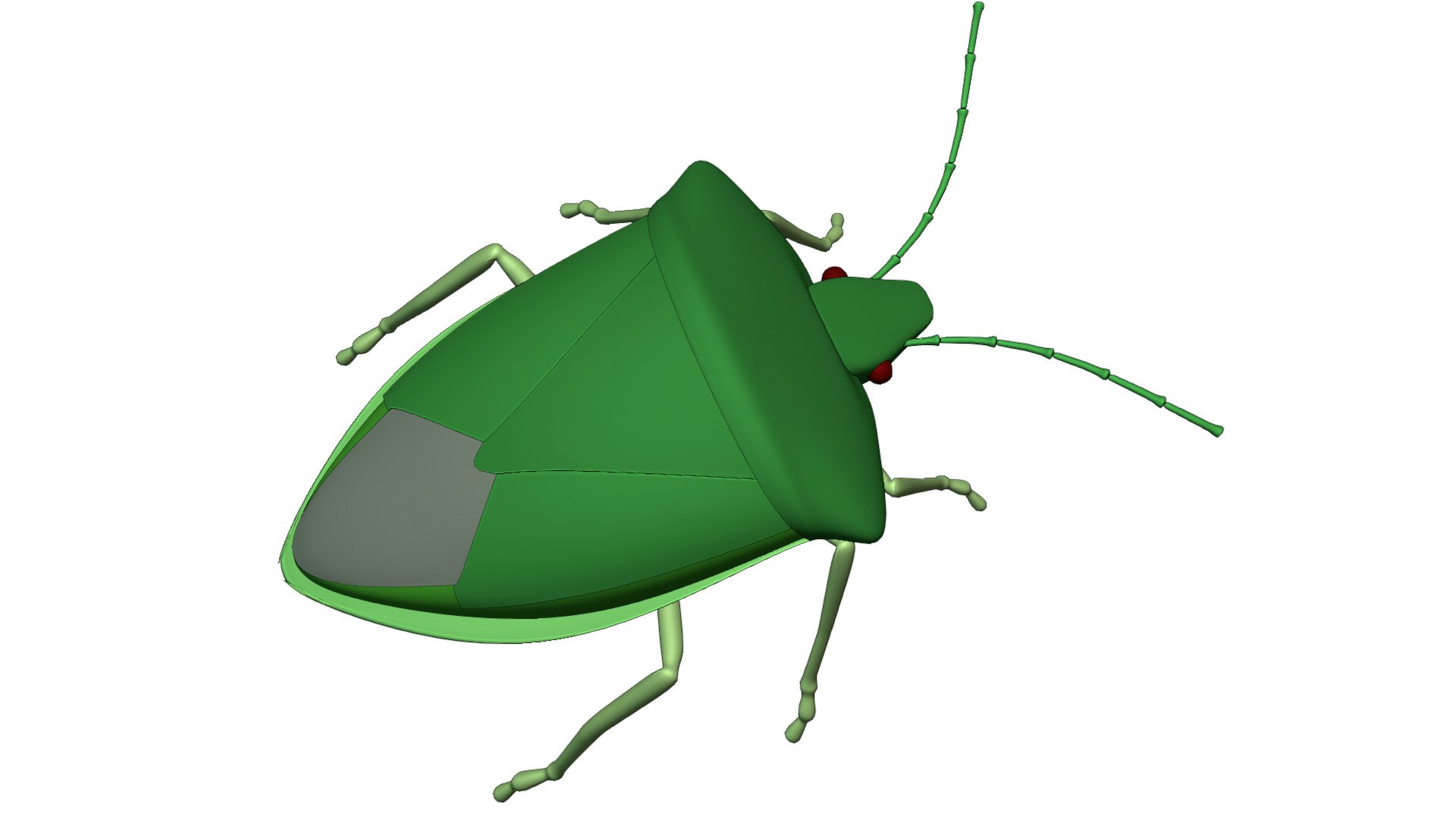 Stinkbug Stink Bug 3D Model - TurboSquid 1610225