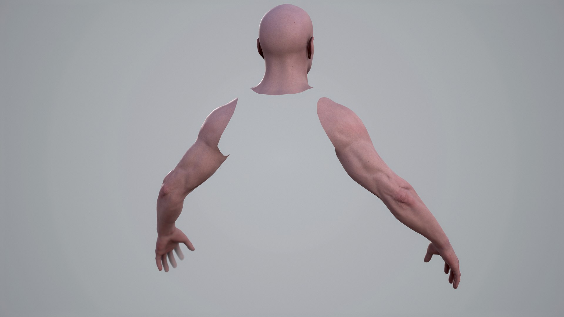 3D Realistic Male Head And Two Arms Model - TurboSquid 1895240