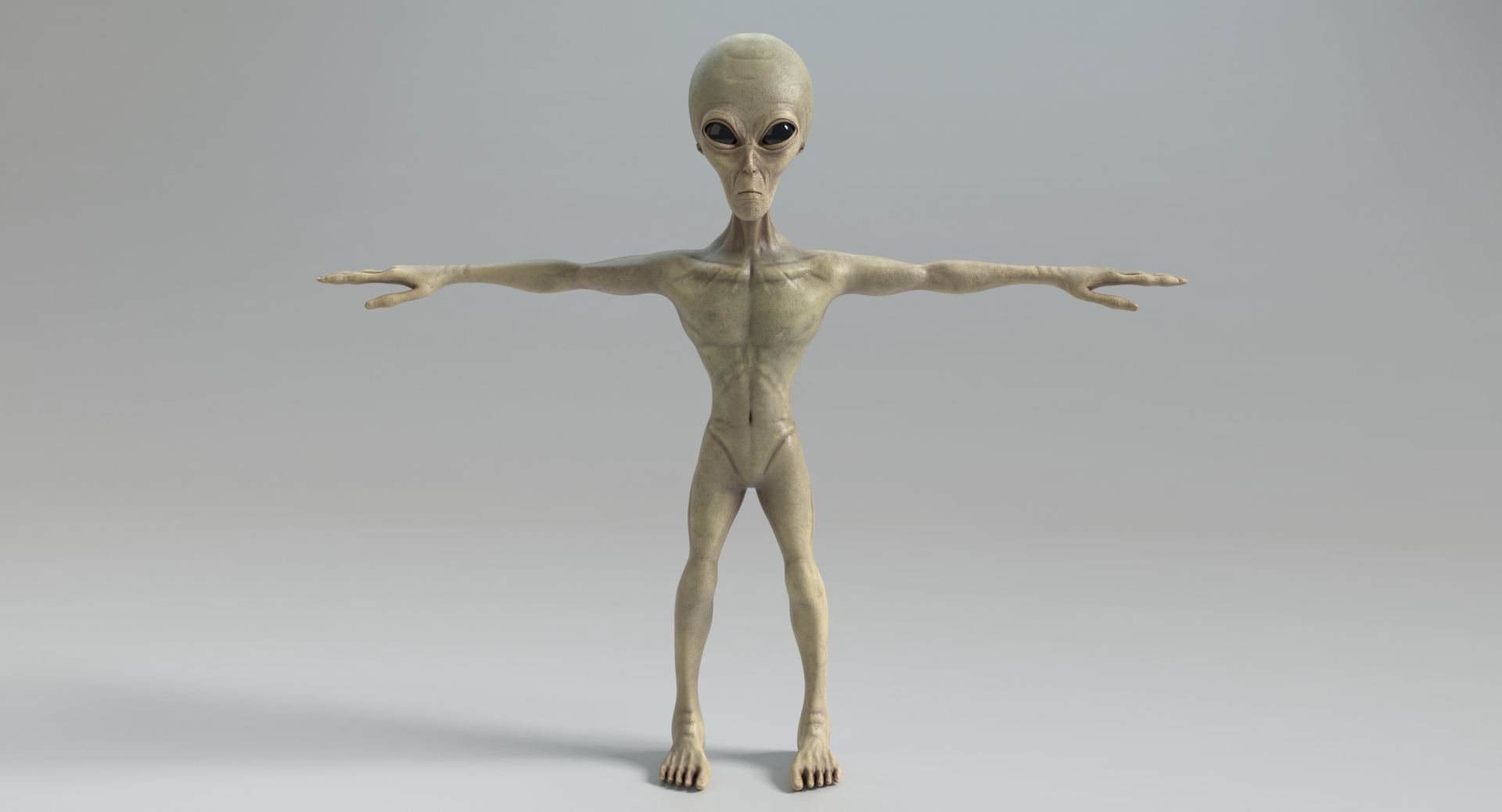 Male And Female Grey Alien Set 2 3D Model - TurboSquid 2116475
