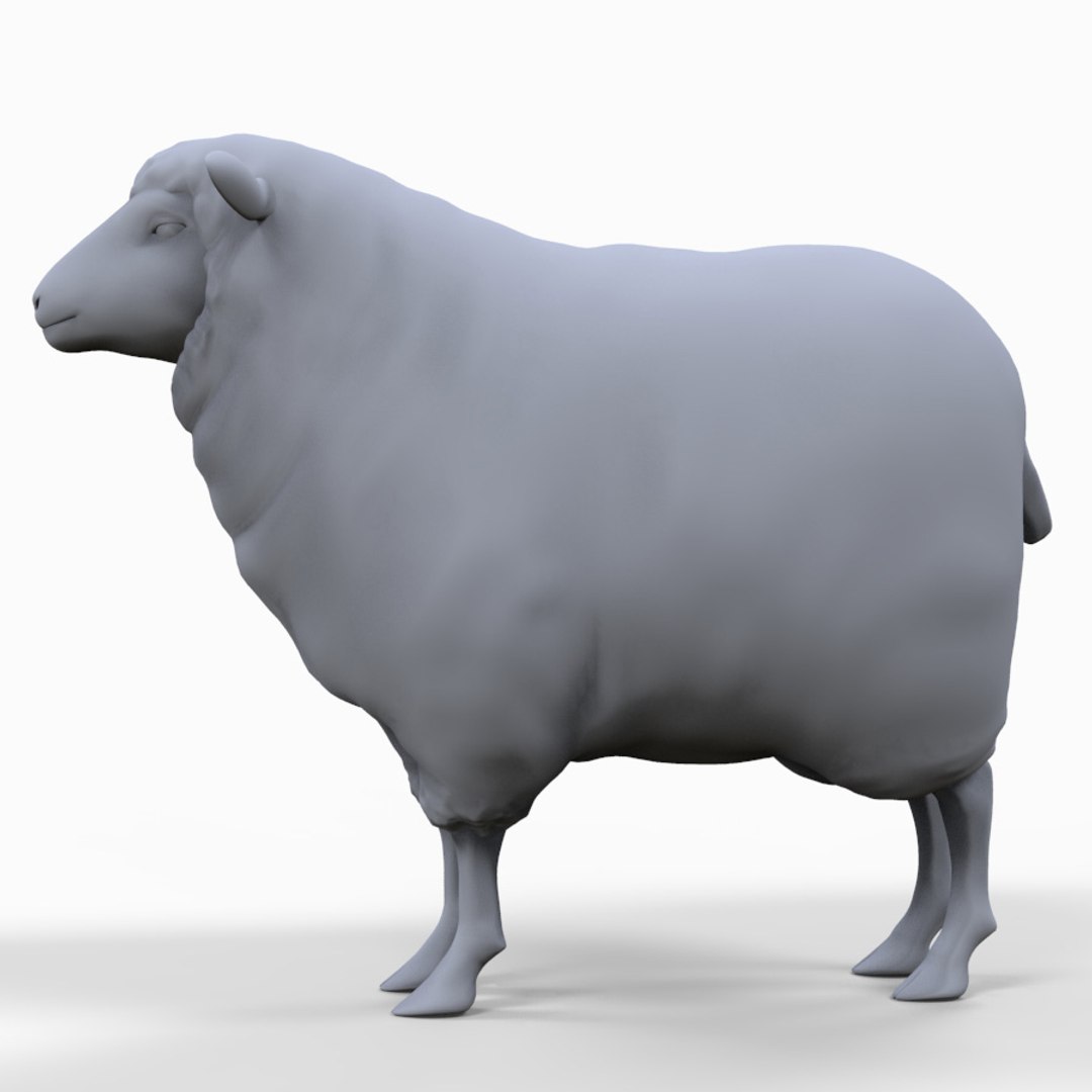 3ds Max Sheep