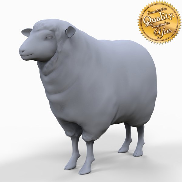 3d model sheep