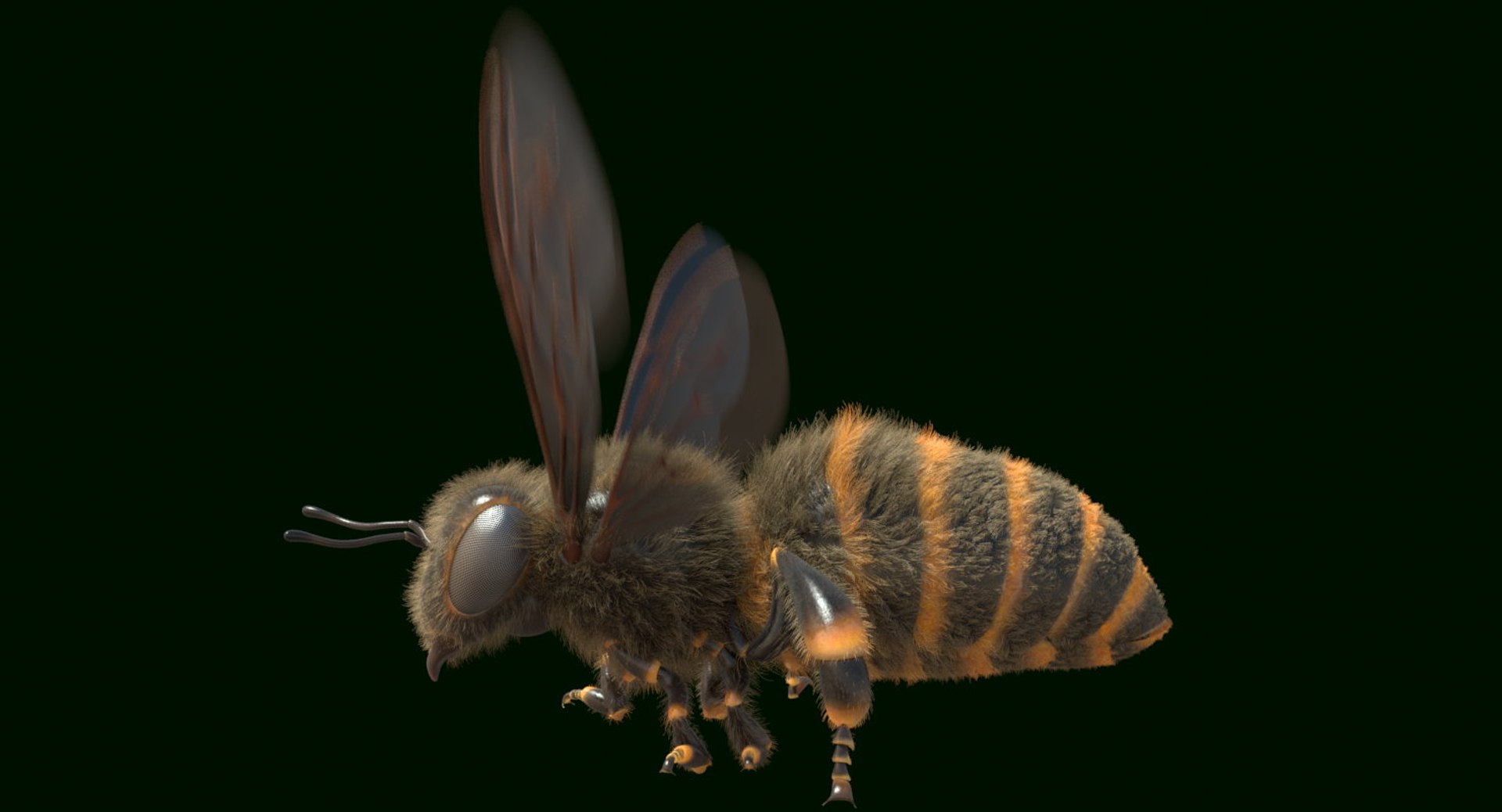 rigged bee 3d obj