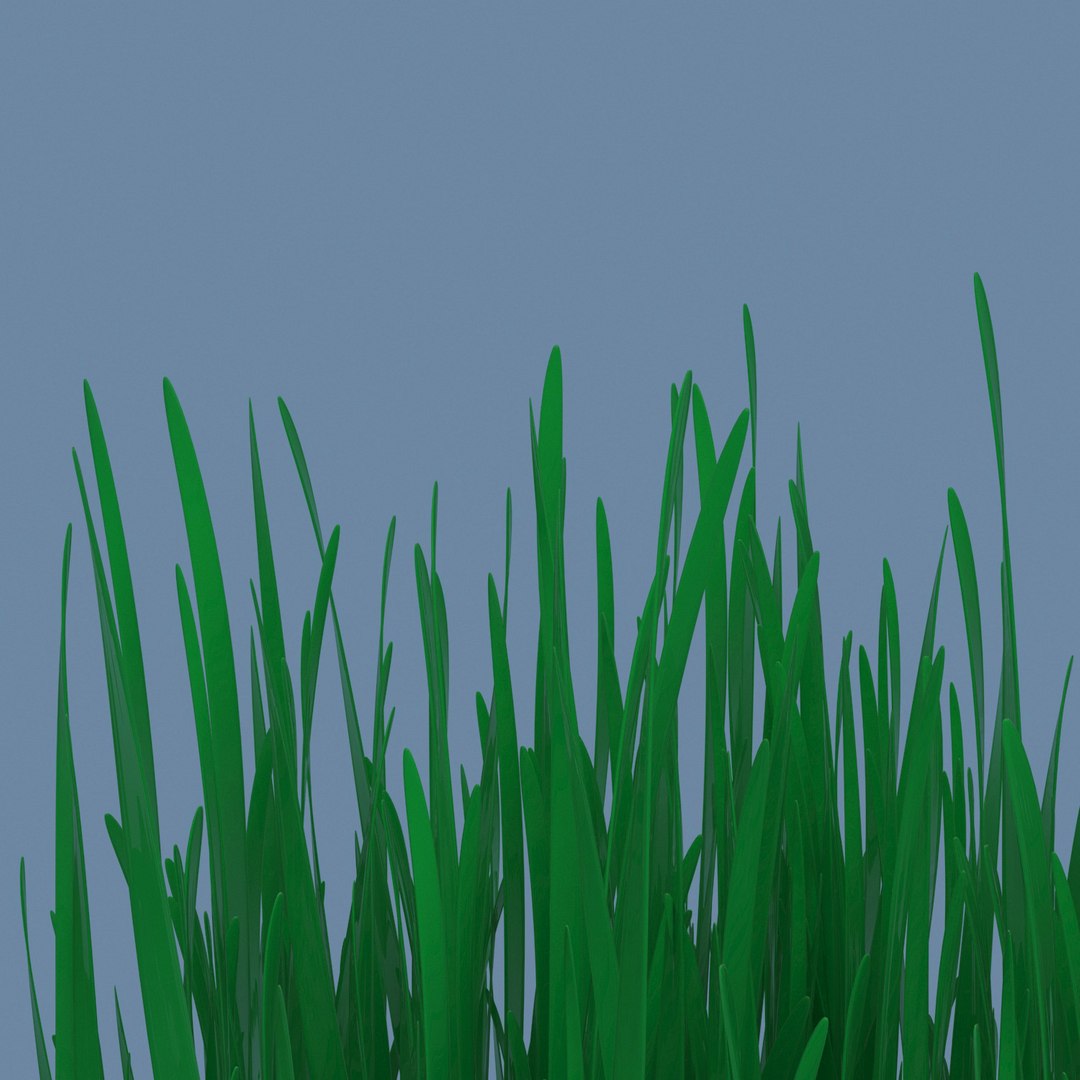 3D Model Samani Sama - TurboSquid 1249080