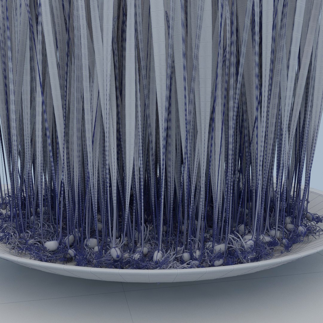 3D Model Samani Sama - TurboSquid 1249080